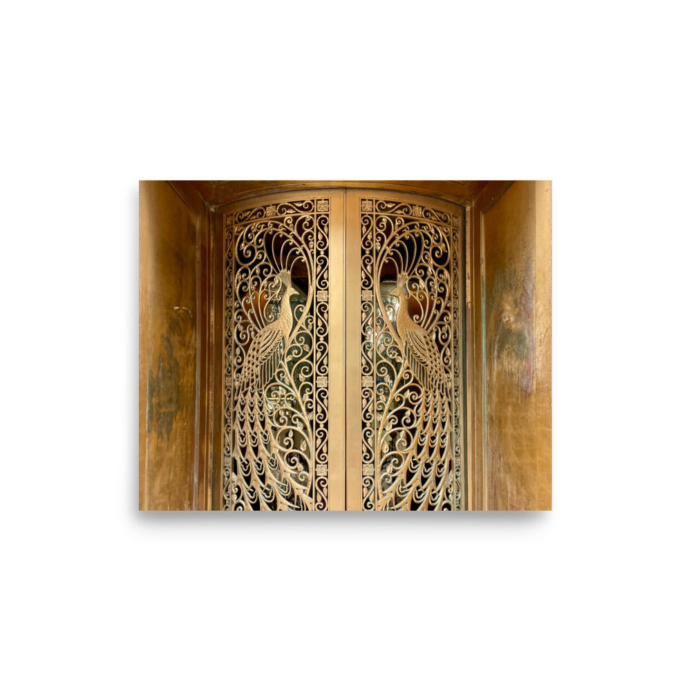 Bronze Peacock Doors (Chicago, IL) – Midwest Modern